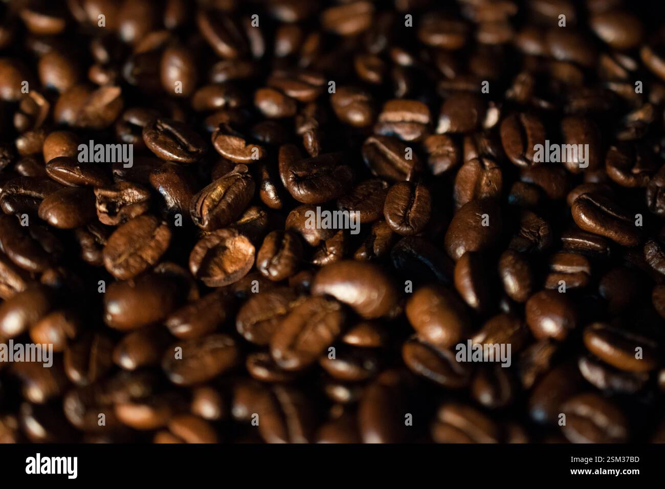 The image captures the intricate textures and natural variations of the ...