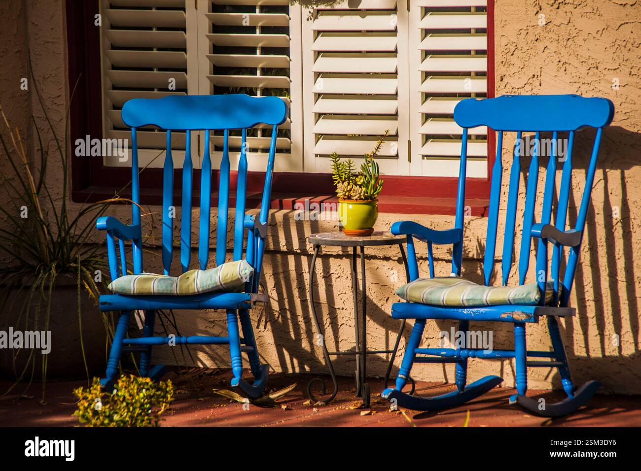 Two blue rocking chairs and a green potted plant on the front porch of ...