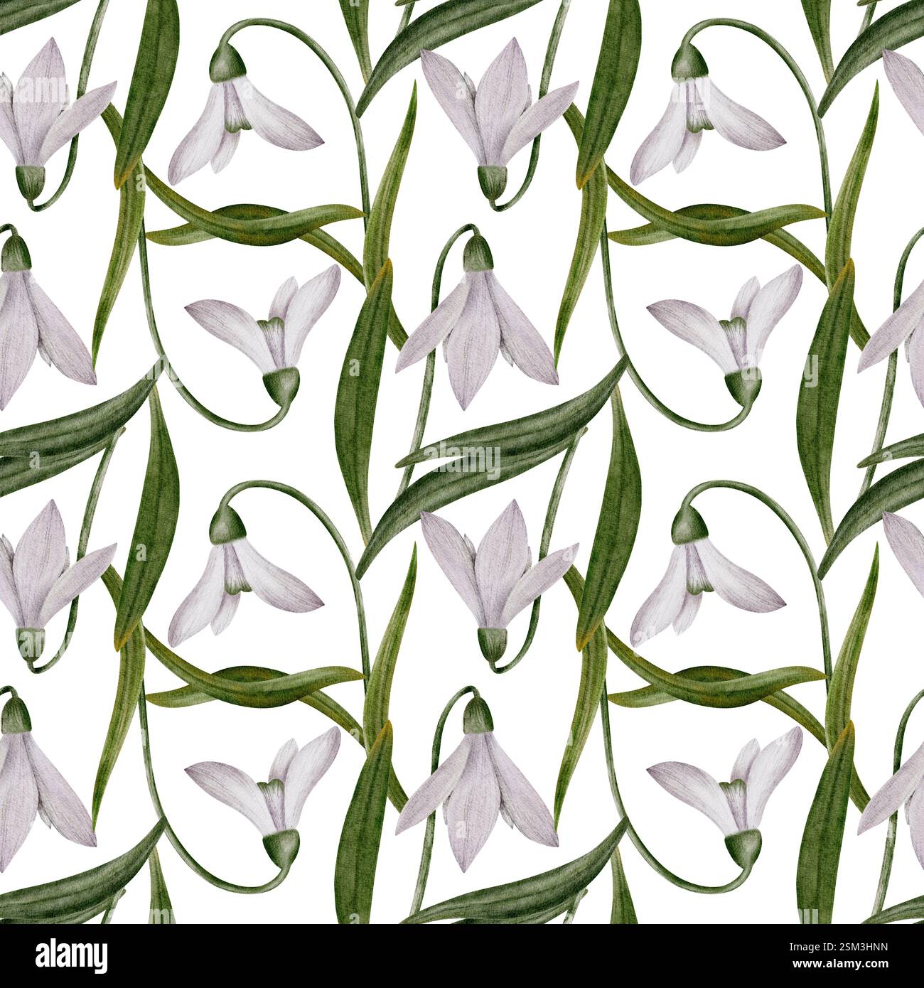 Seamless pattern with Snowdrop watercolor hand drawn bouquet, flower ...