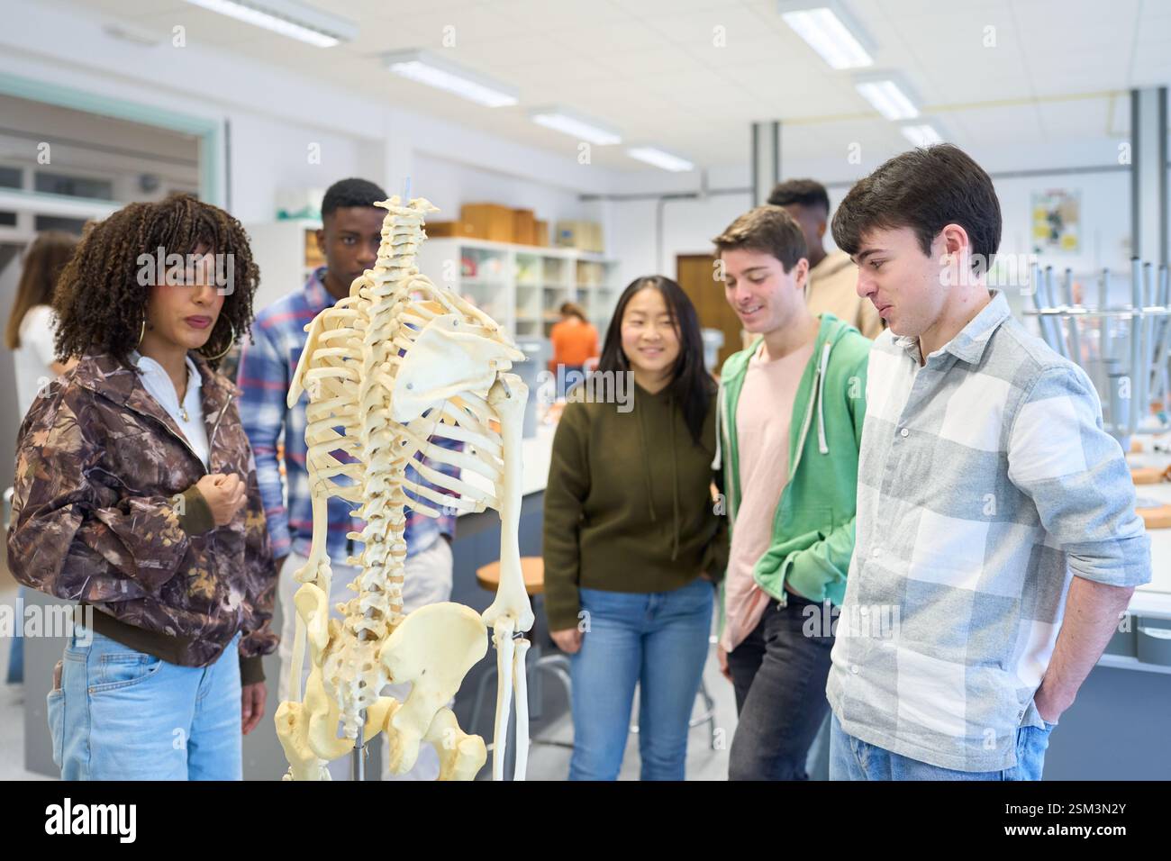 Students studying human skeleton in biology class at university Stock ...