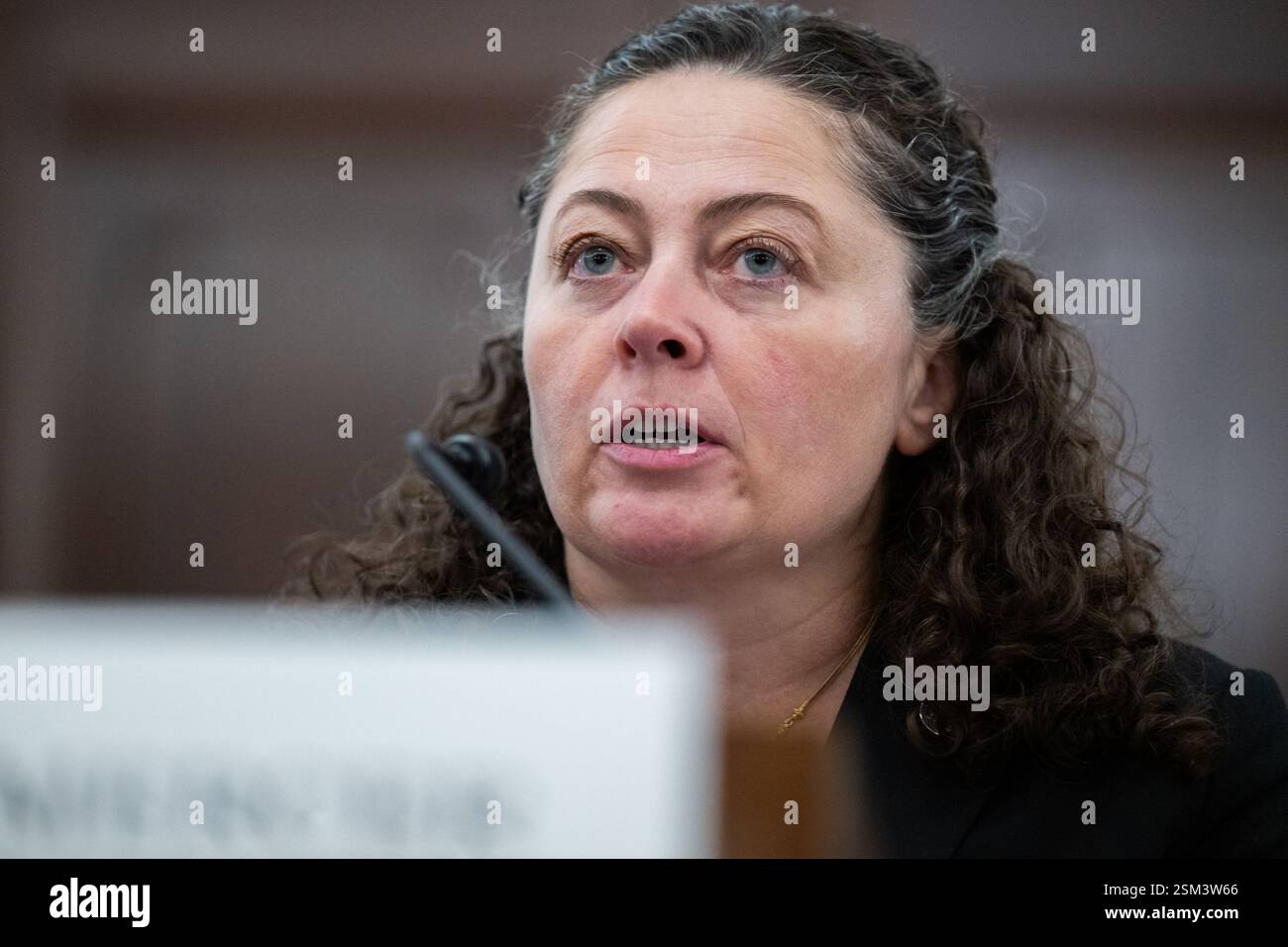 Washington, United States. 12th Feb, 2025. Dr. Jennifer Mercer, Section ...