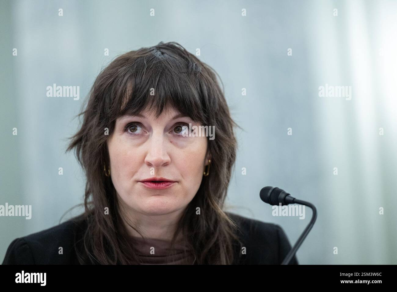 Washington, United States. 12th Feb, 2025. Dr. Rebecca Pincus, Director ...