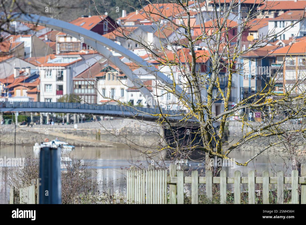 Plentzia Bridge between trees and houses Stock Photo - Alamy
