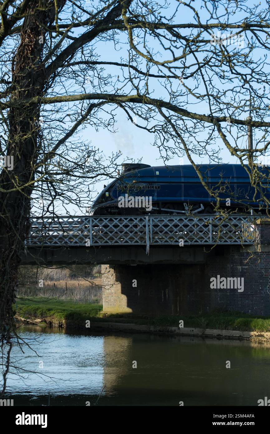 Sir Nigel Gresley A4 Class pass over the Nene bridge Stock Photo - Alamy