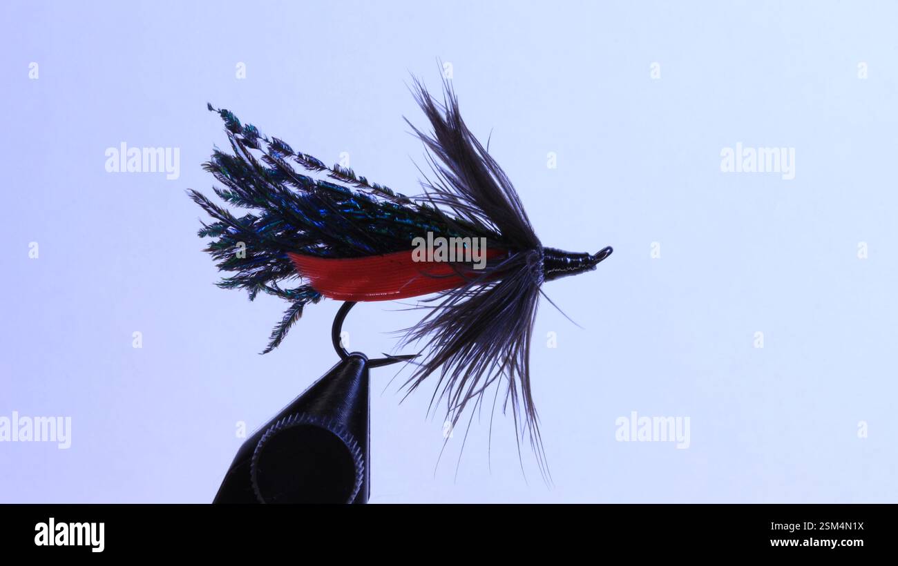 Classic salmon wet fly with peacock feather body, oval tinsel ribbing ...