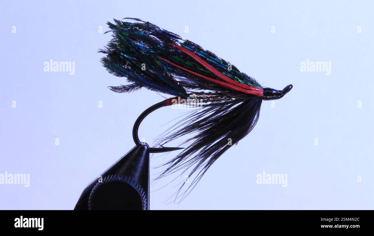 Classic wet fly with peacock feather body, silver tinsel, oval tinsel ...