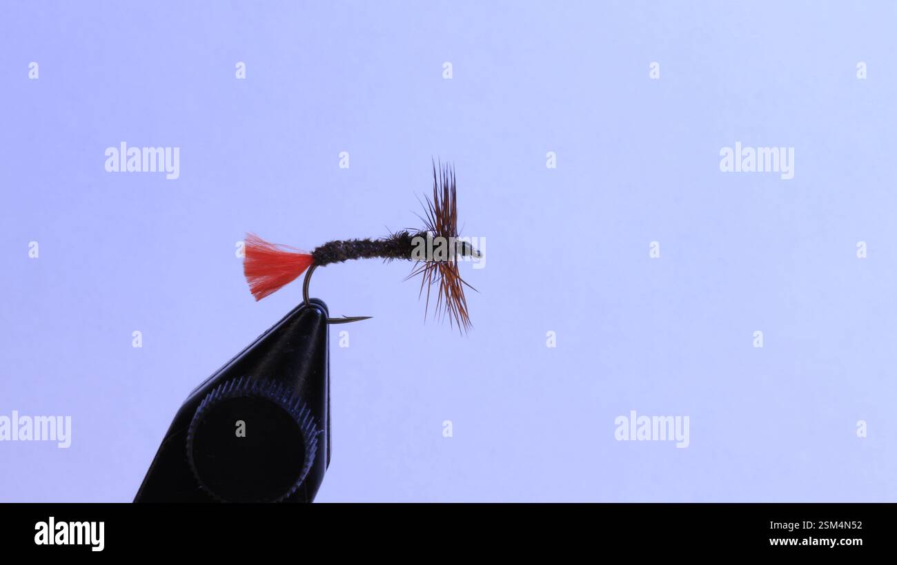 Classic Red Tag wet fly with a red wool tail, peacock herl body, and ...