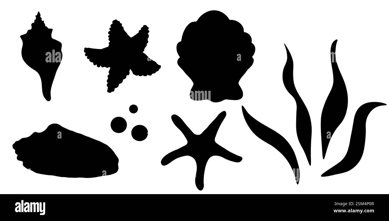 Vector silhouette of shells, starfish and seaweed. Illustrations of the ...