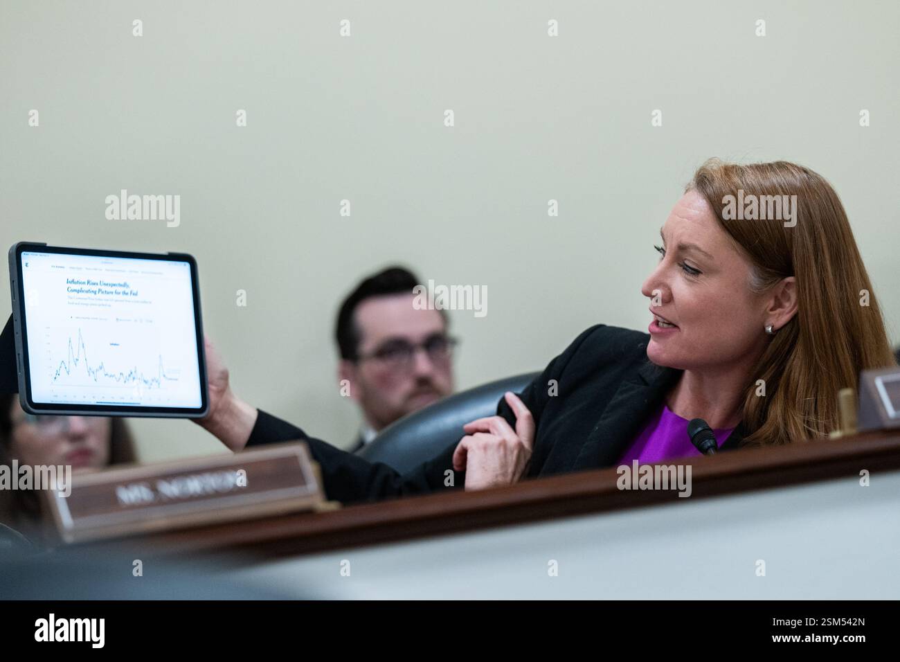 Washington, United States. 12th Feb, 2025. Ranking Member Rep. Melanie ...