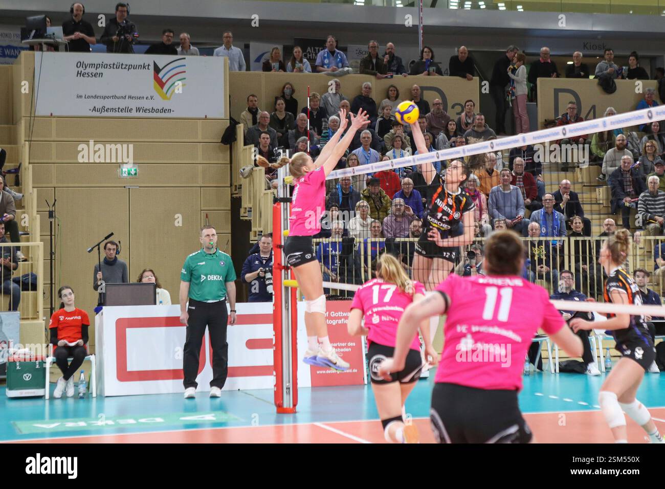 Wiesbaden, Deutschland. 12th Feb, 2025. Wiesbaden, Deutschland 12 ...