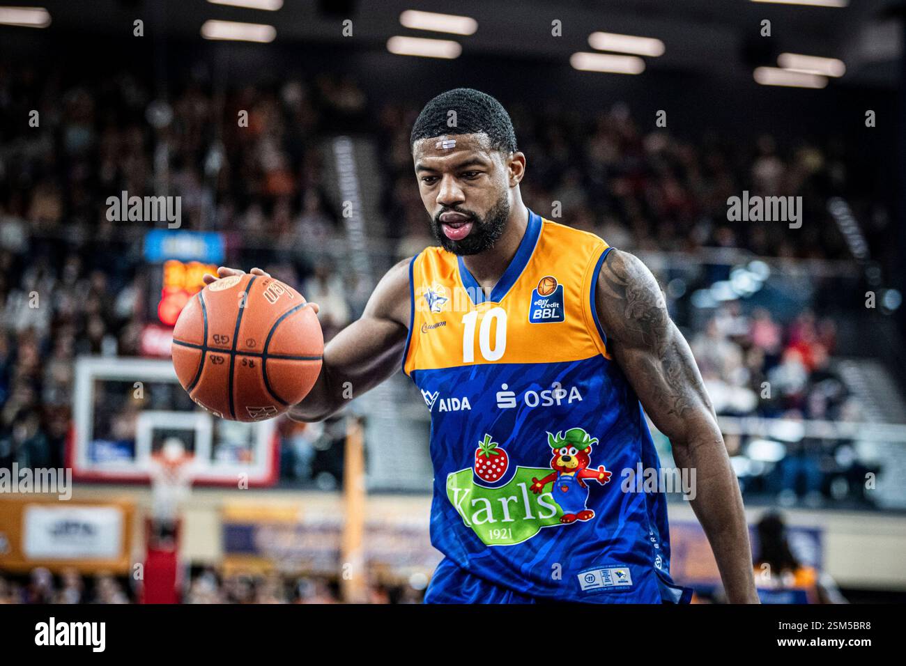 Rostock, Deutschland 12. Februar 2025: 1.BBL - 2024/2025 - Rostock ...