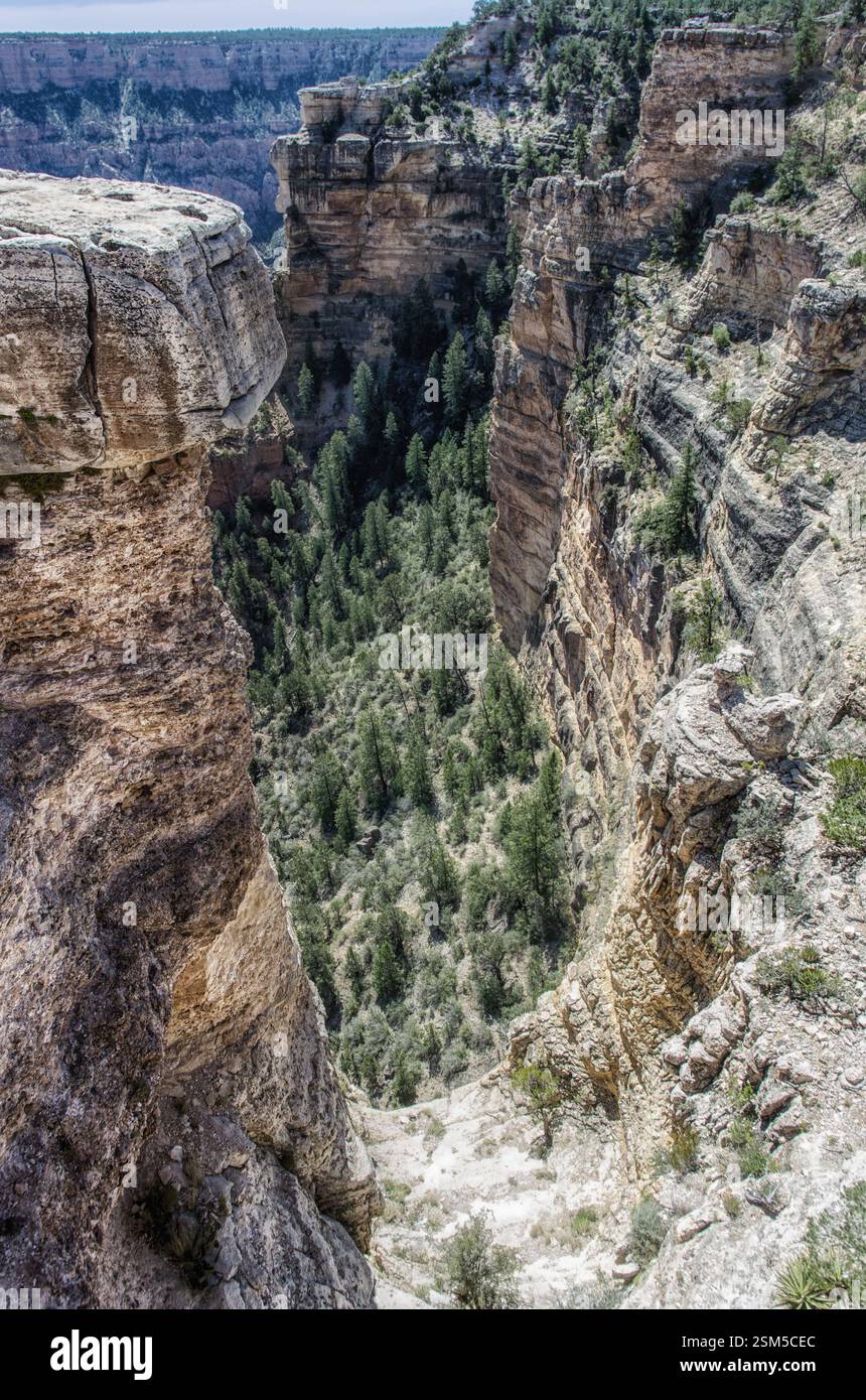 A dramatic vertical view of a rugged Grand Canyon cliffside ...