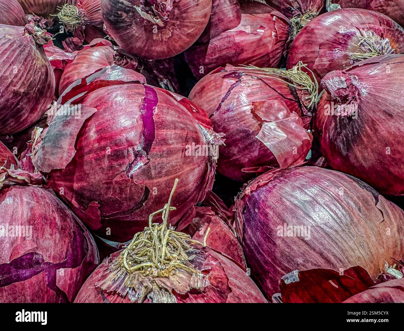 A detailed close-up of fresh red onions with textured, peeling skins ...