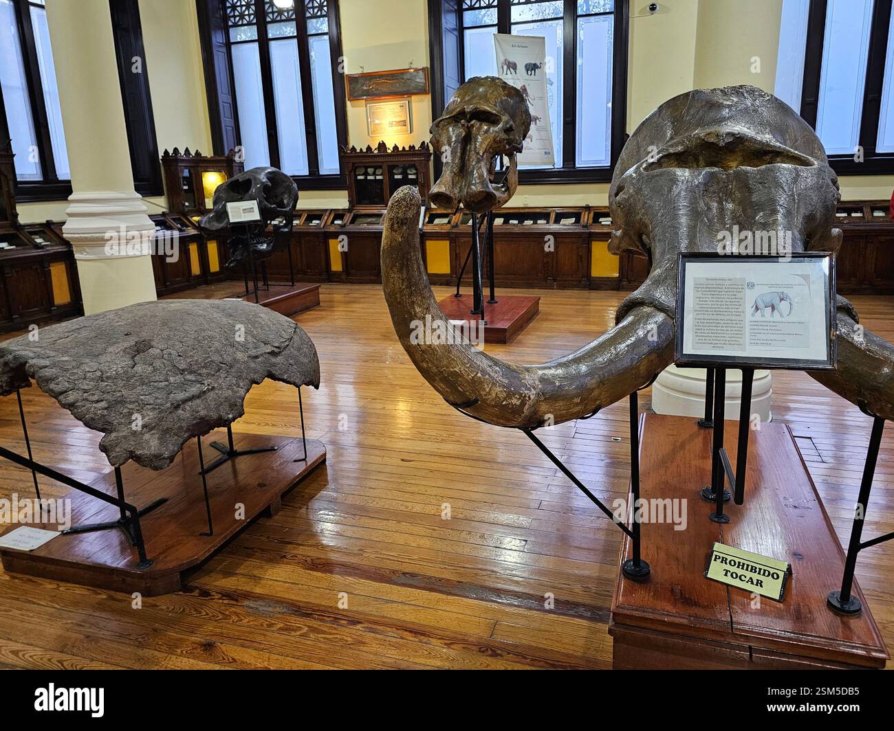 Mexico City, Mexico - Jan 31 2024: UNAM Geology Museum, located in the ...