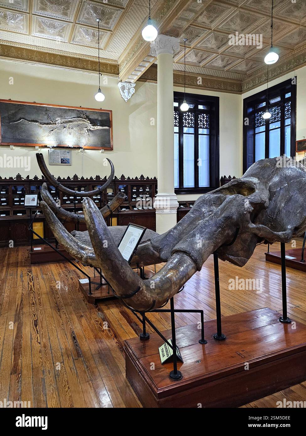 Mexico City, Mexico - Jan 31 2024: UNAM Geology Museum, located in the ...