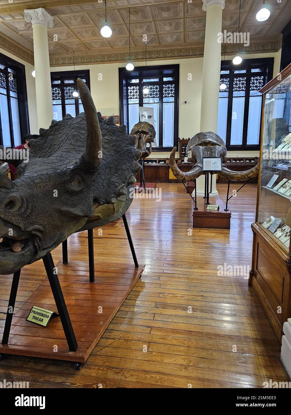 Mexico City, Mexico - Jan 31 2024: UNAM Geology Museum, located in the ...