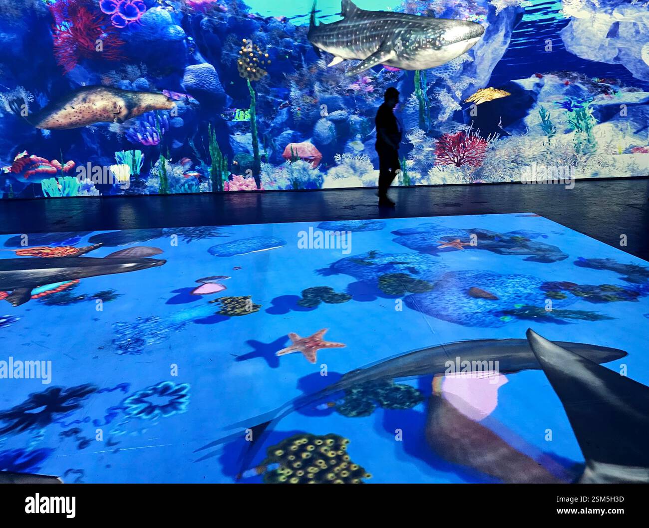 Mexico City, Mexico - Feb 28 2024: Inside the Barco Utopia in ...