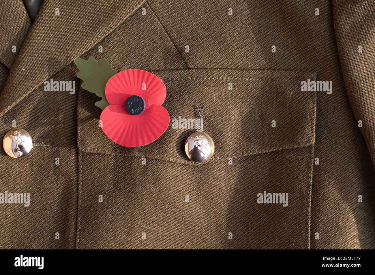 remembrance day poppy on a uniform Stock Photo - Alamy