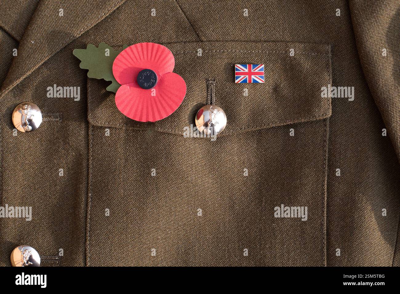 remembrance day poppy on a uniform Stock Photo - Alamy