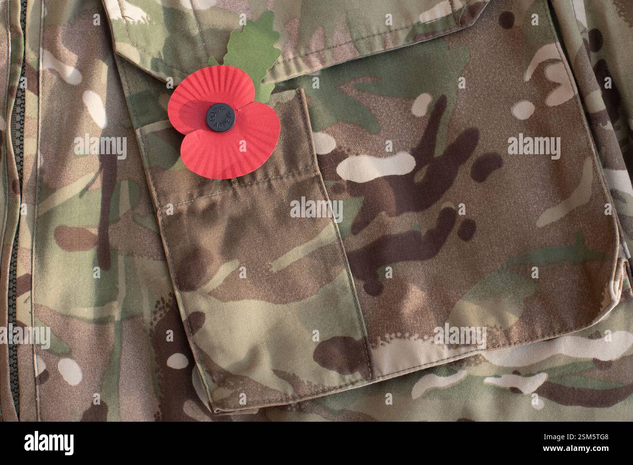 remembrance day poppy on a uniform Stock Photo - Alamy