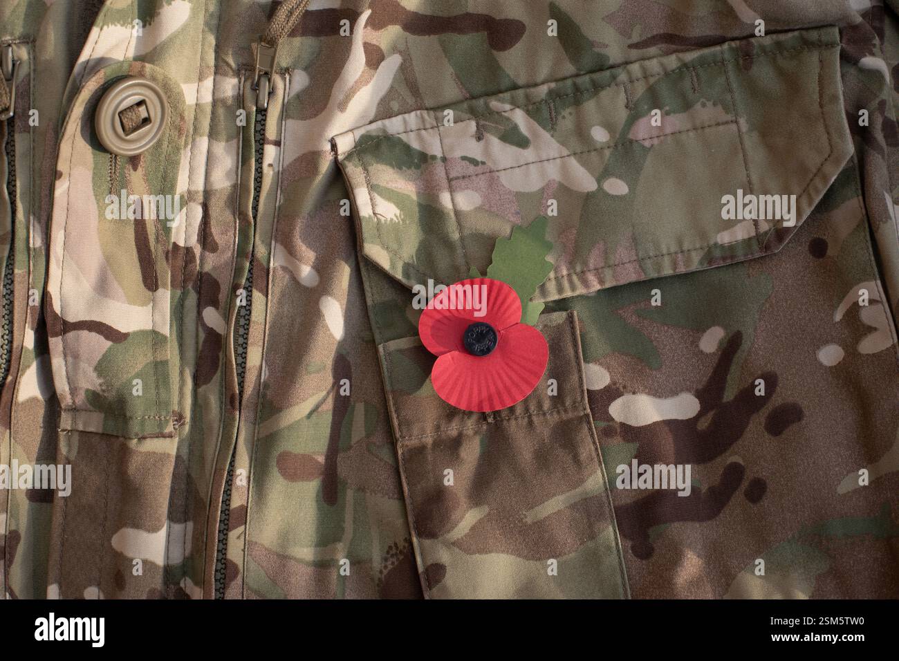 remembrance day poppy on a uniform Stock Photo - Alamy