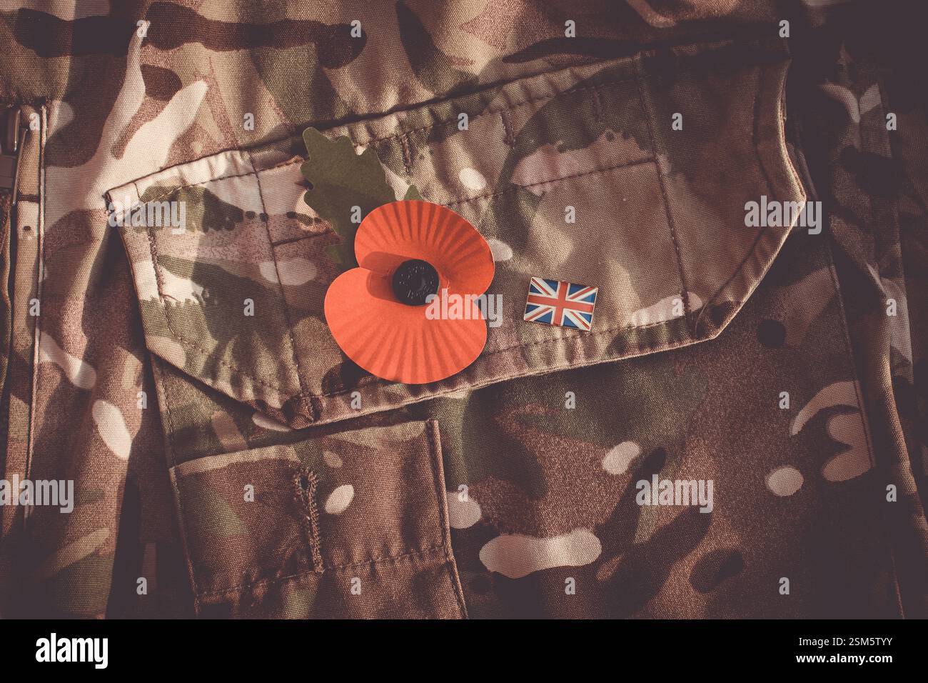 remembrance day poppy on a uniform Stock Photo - Alamy