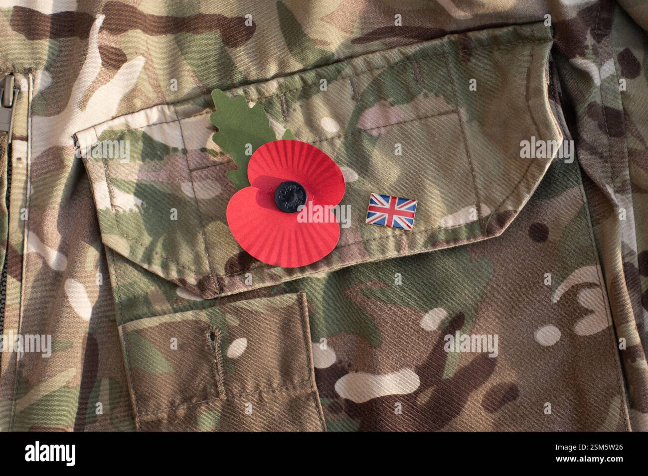 remembrance day poppy on a uniform Stock Photo - Alamy