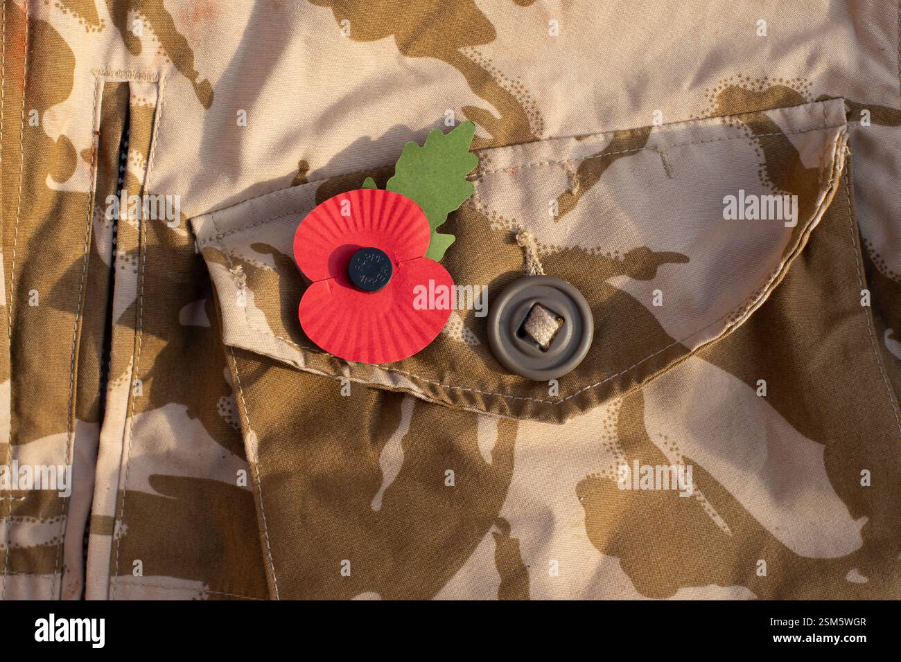 remembrance day poppy on a uniform Stock Photo - Alamy