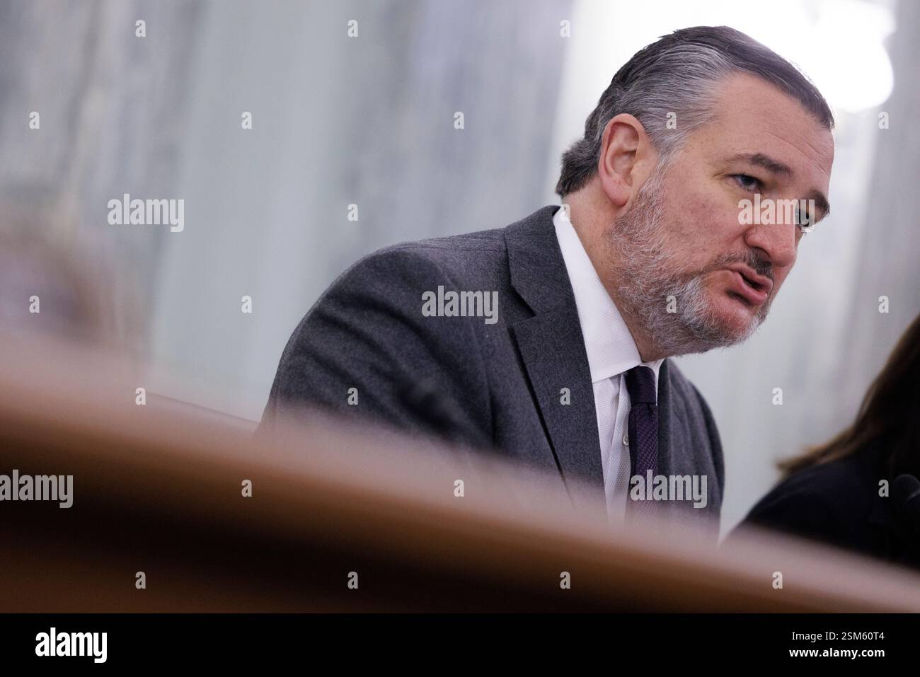 Washington, United States. 12th Feb, 2025. Chairman Ted Cruz (R-TX) is ...