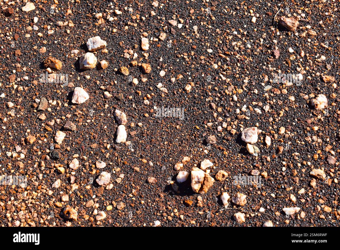 A close-up of the desert floor in Western Australia, showcasing ...