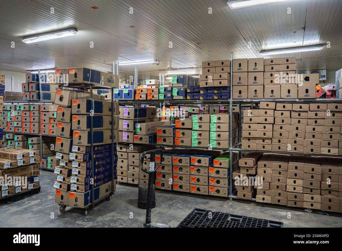 Antioquia, Colombia. 12th Feb, 2025. Packages of flowers are ready for ...