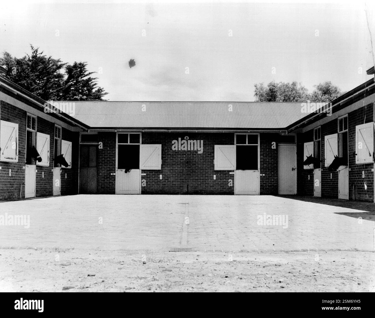 The incredible Master of Ellerton Lodge -- Ellerton Lodge stables ...