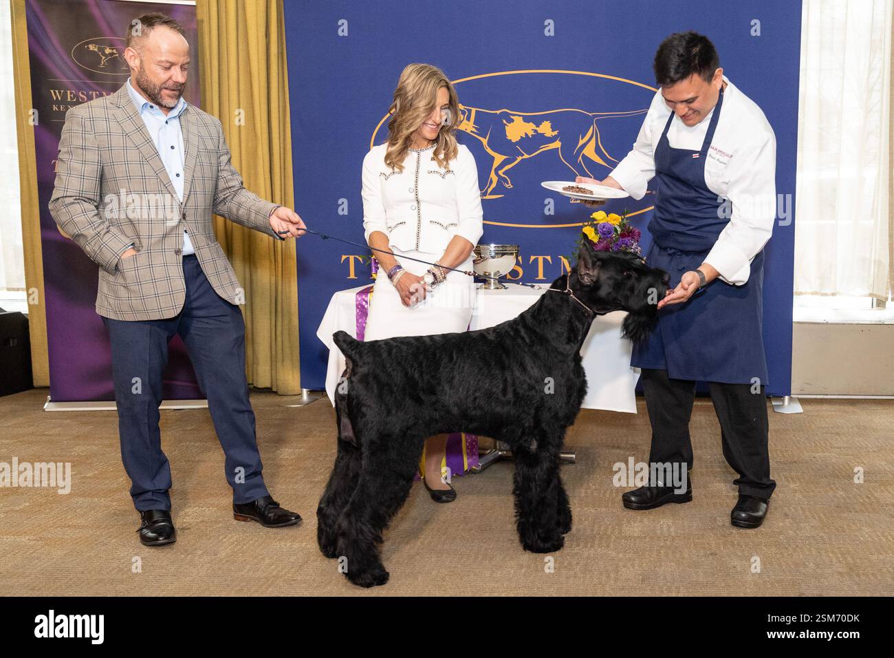 New York, USA. 12th Feb, 2025. Monty, the Giant Schnauzer dog winner of ...