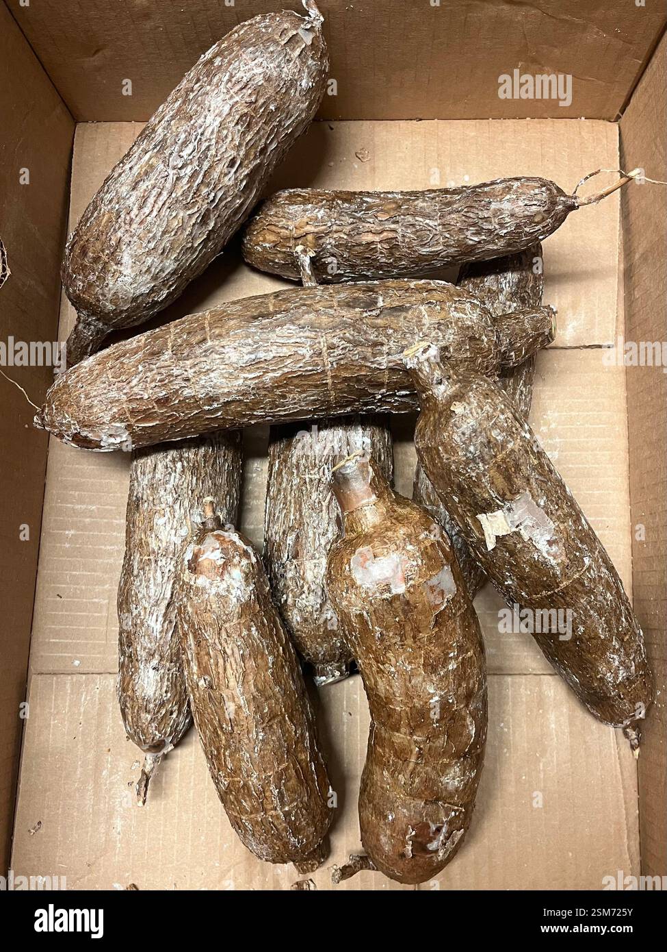 tapioka, mandioka, cassava, yuka, Manihot esculenta, South America ...