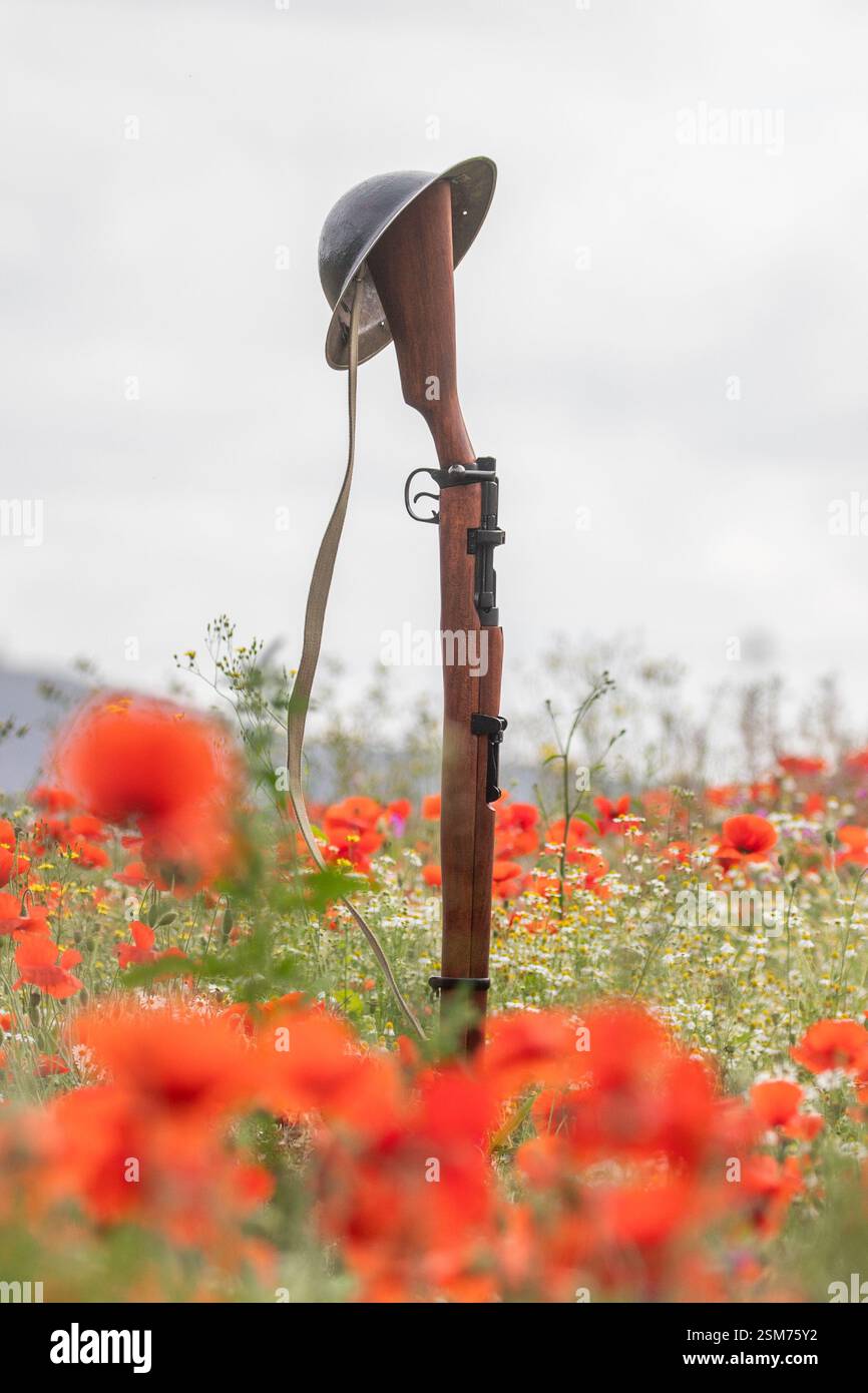 Battle cross in poppy hi-res stock photography and images - Alamy