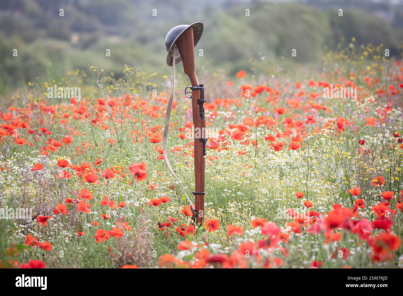Battle cross in poppy hi-res stock photography and images - Alamy