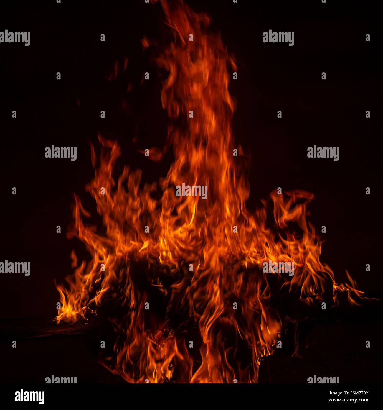 Fire flames on black background. Fire burn flame isolated. Fire flames ...
