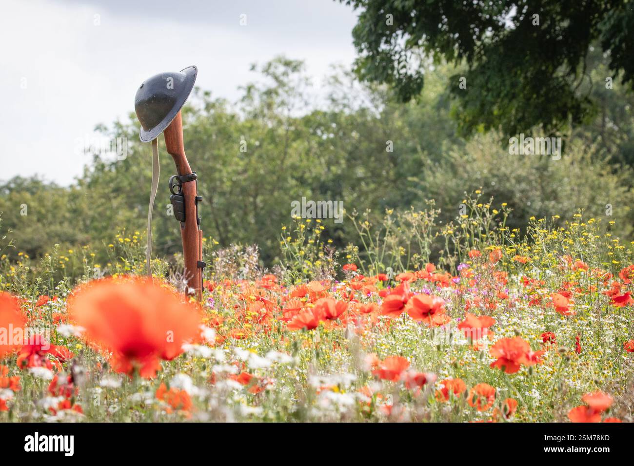 battle cross in a poppy field Stock Photo - Alamy