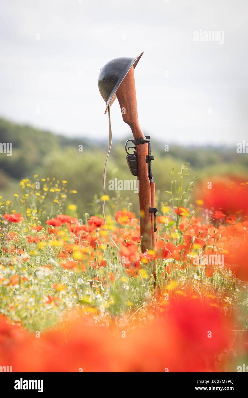 battle cross in a poppy field Stock Photo - Alamy