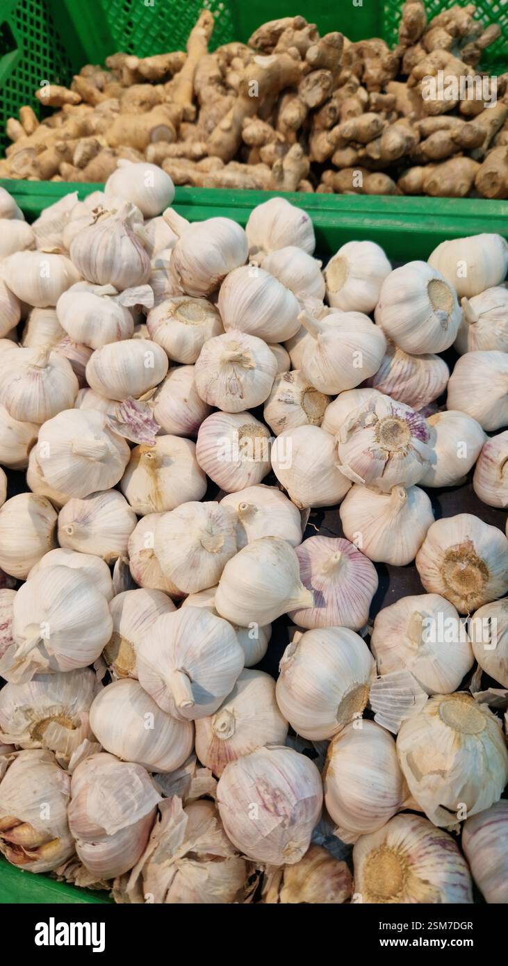 Garlic close up in supermarket. Lots of garlic in plastic green box on ...