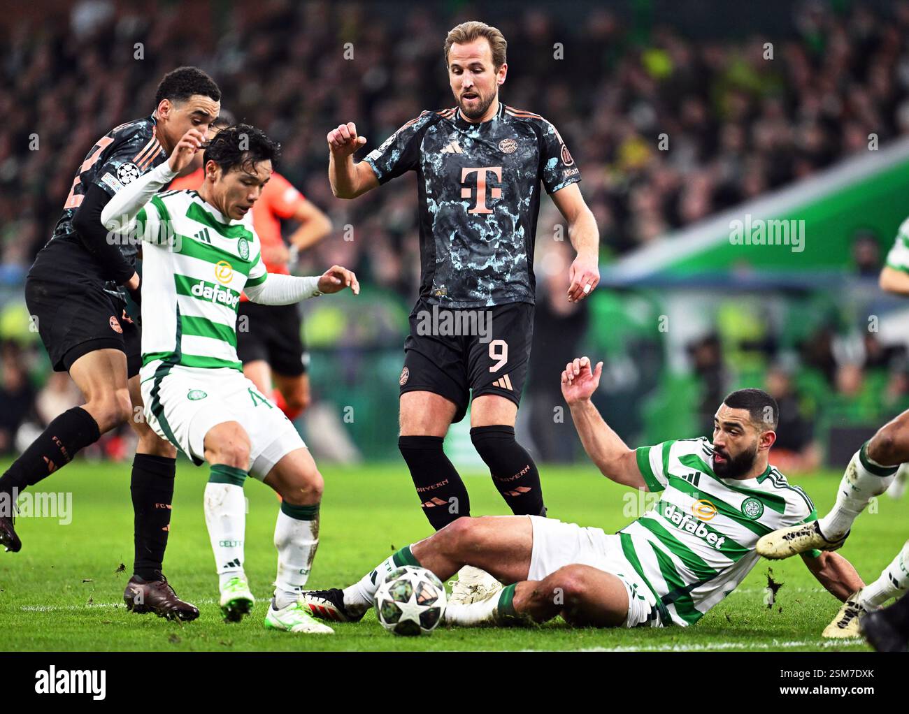 Glasgow, UK. 12th Feb, 2025. Soccer: Champions League, Celtic Glasgow ...
