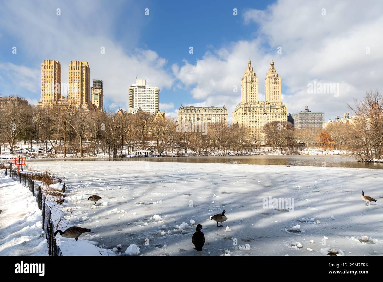 Visitors enjoy the serene winter landscape of Central Park featuring a ...