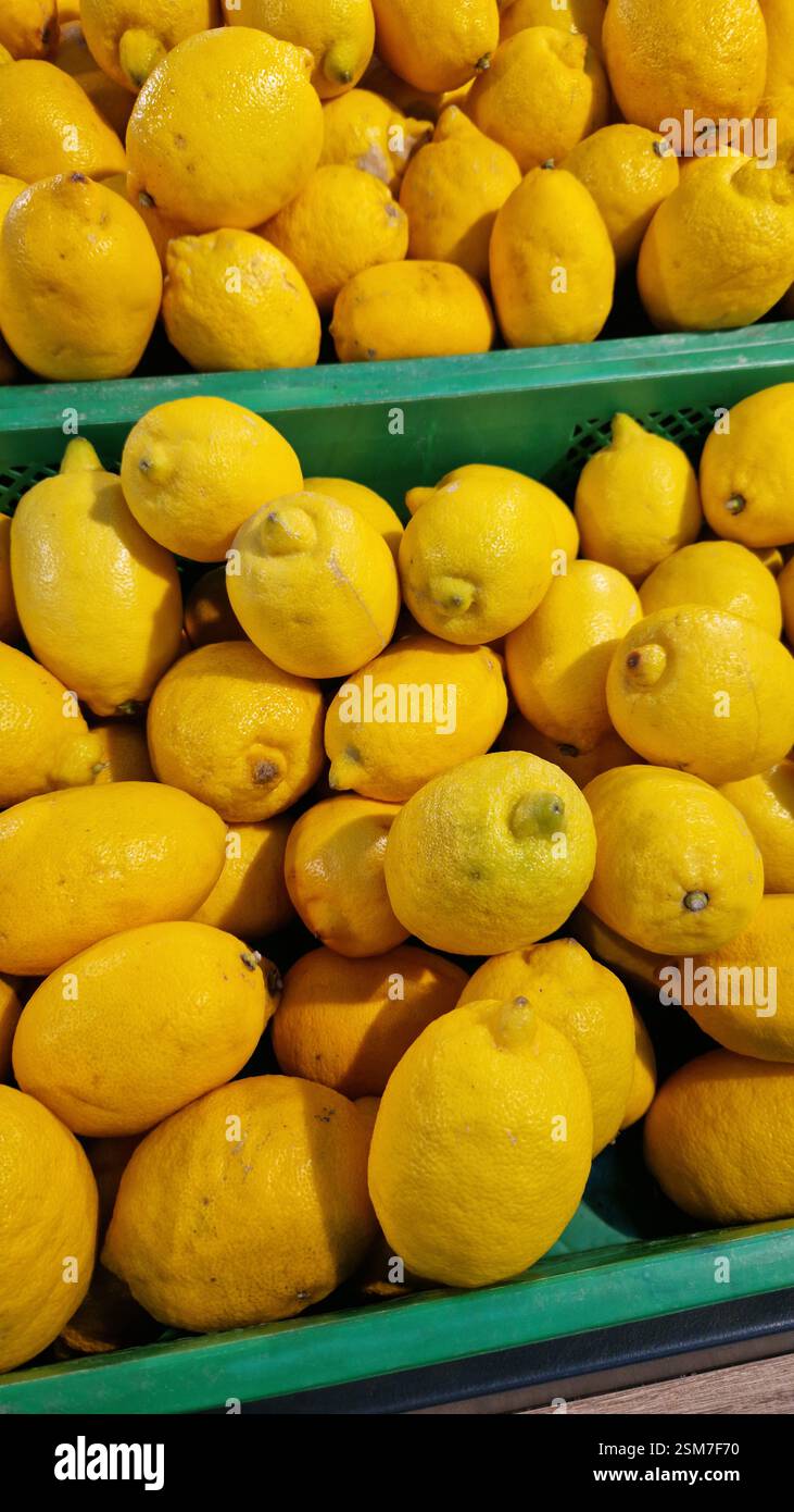 Sale of lemons in a supermarket. Citrus fruits in plastic boxes, close ...