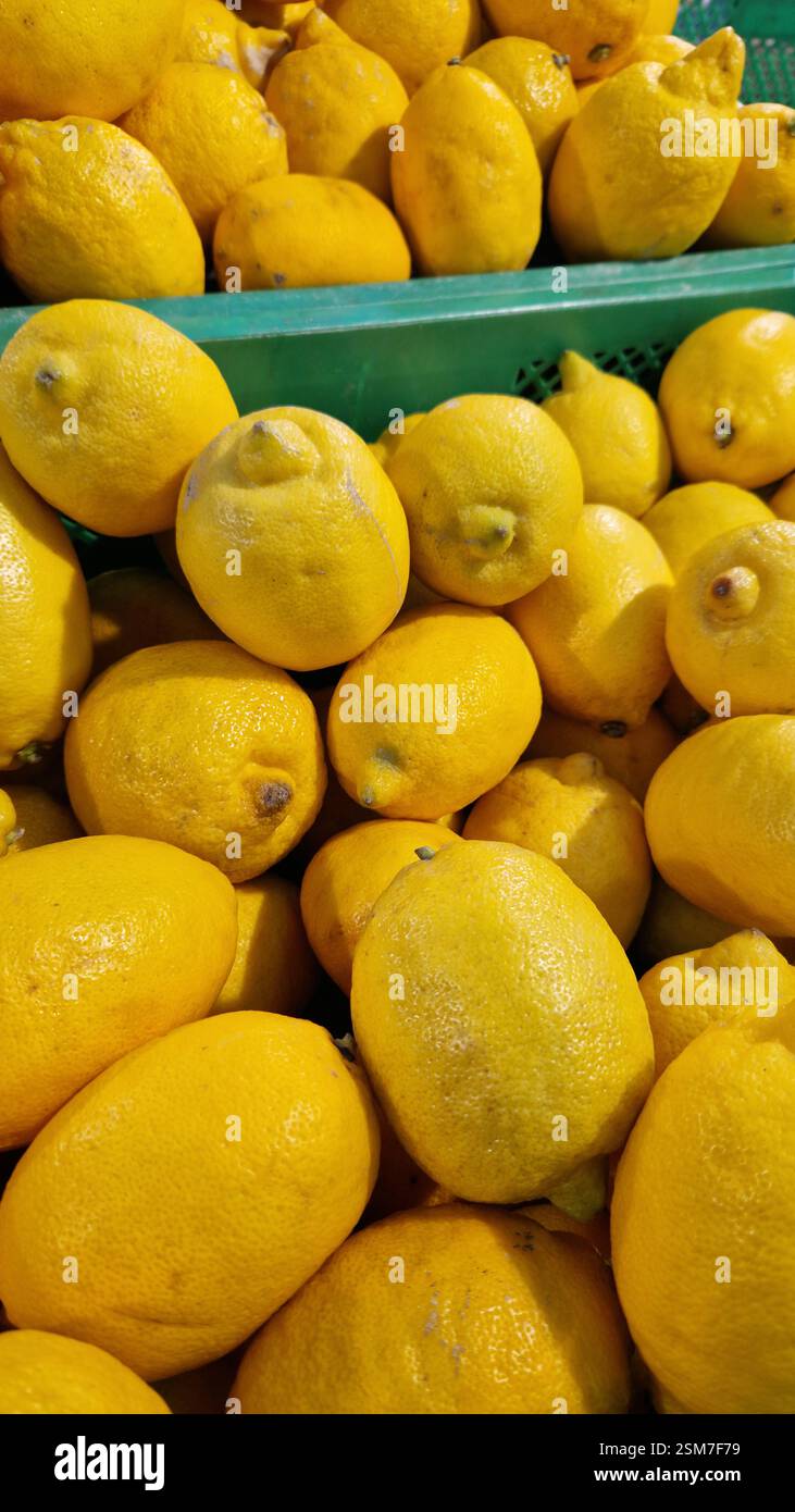 Sale of lemons in a supermarket. Citrus fruits in plastic boxes, close ...