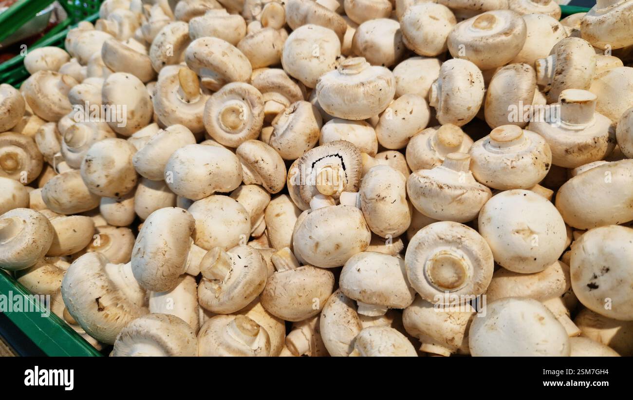 Sale of champignons in a supermarket. Champignons in plastic boxes, close-up. Mushrooms in a ...