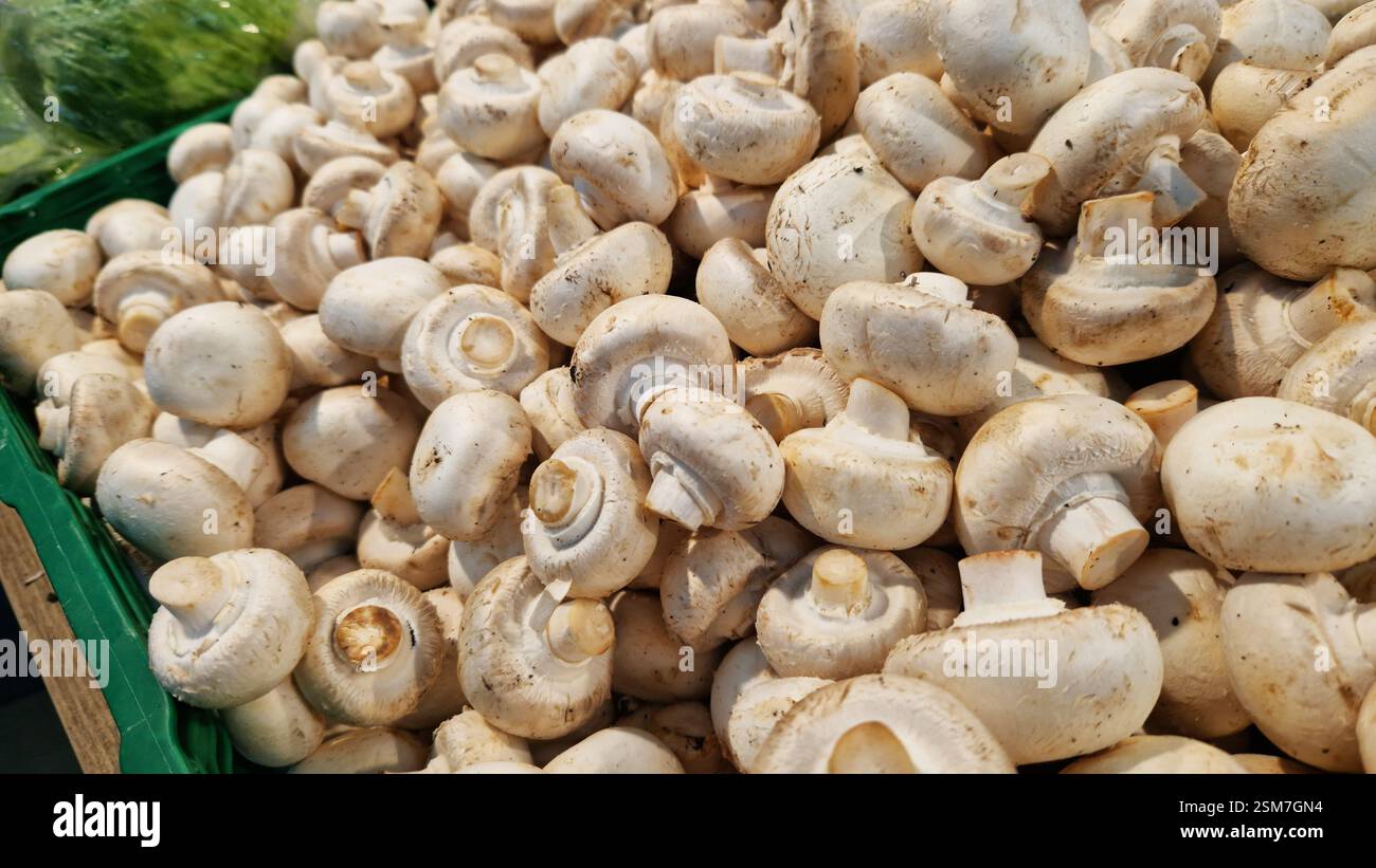 Sale of champignons in a supermarket. Champignons in plastic boxes, close-up. Mushrooms in a ...