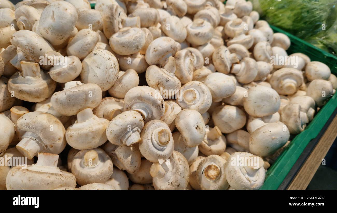 Sale of champignons in a supermarket. Champignons in plastic boxes, close-up. Mushrooms in a ...