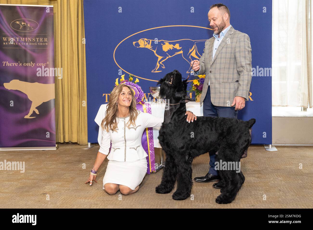 New York, USA. 12th Feb, 2025. Monty, the Giant Schnauzer dog winner of ...