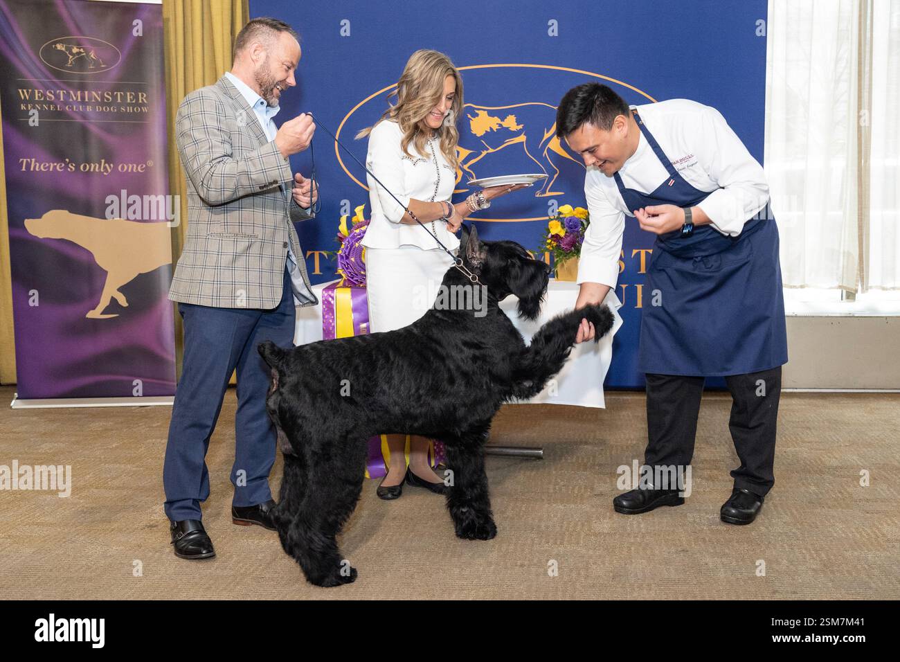 New York, USA. 12th Feb, 2025. Monty, the Giant Schnauzer dog winner of ...
