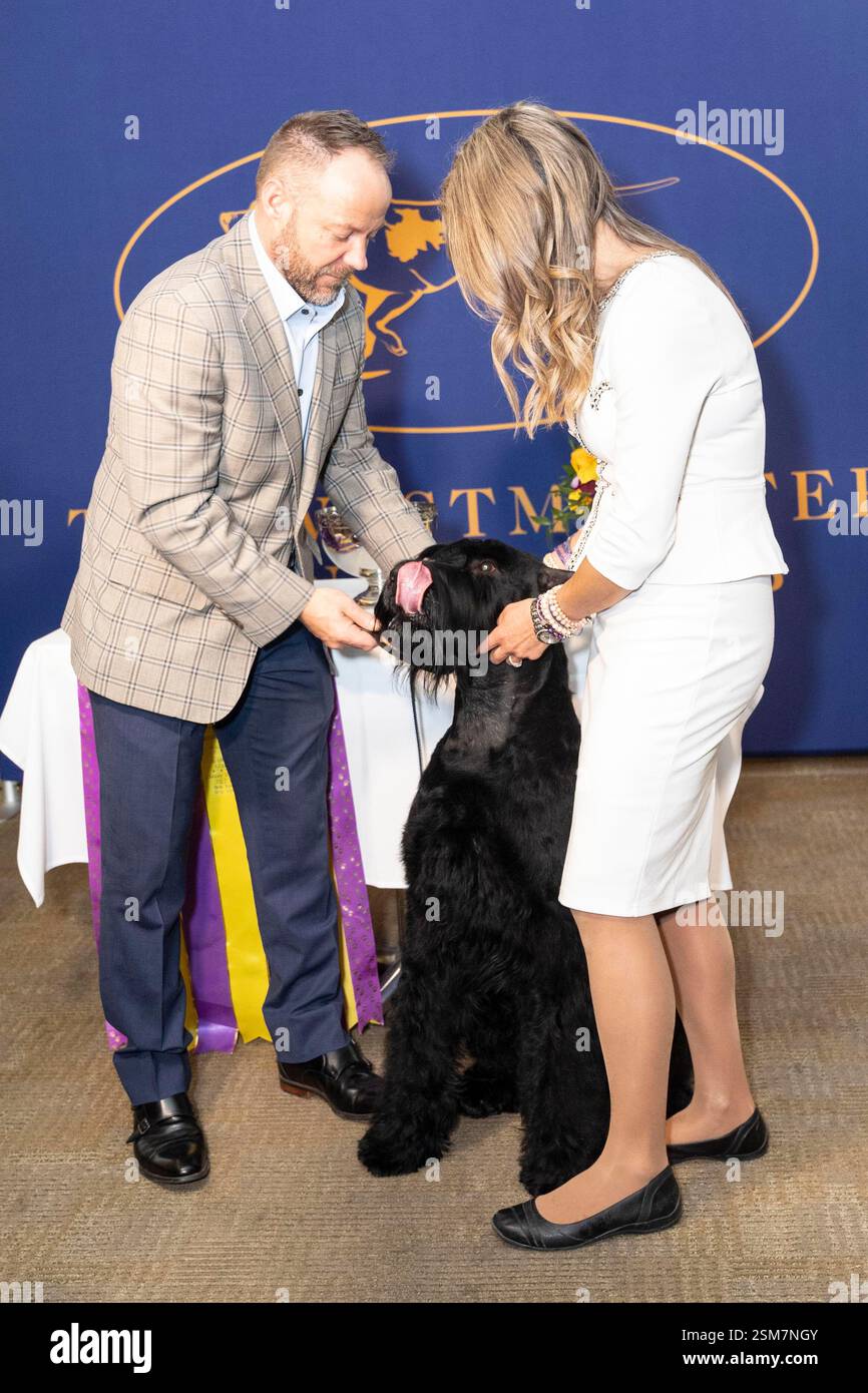 New York, New York, USA. 12th Feb, 2025. Monty, the Giant Schnauzer dog ...
